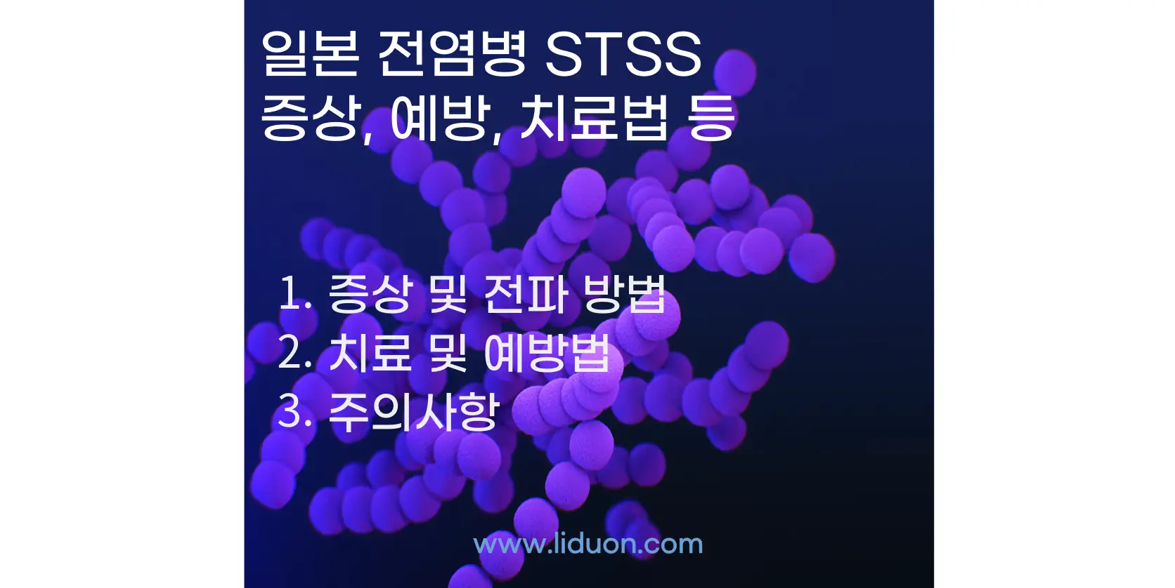일본 전염병 STSS (독성 쇼크 증후군) 원인, 증상, 치료, 예방법 및 예방에 도움이 되는 음식 등